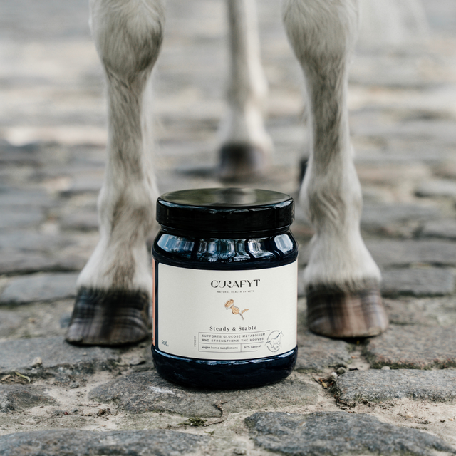 Steady & Stable | Supplement Paard Suiker Metabolisme en Hoeven – Curafyt