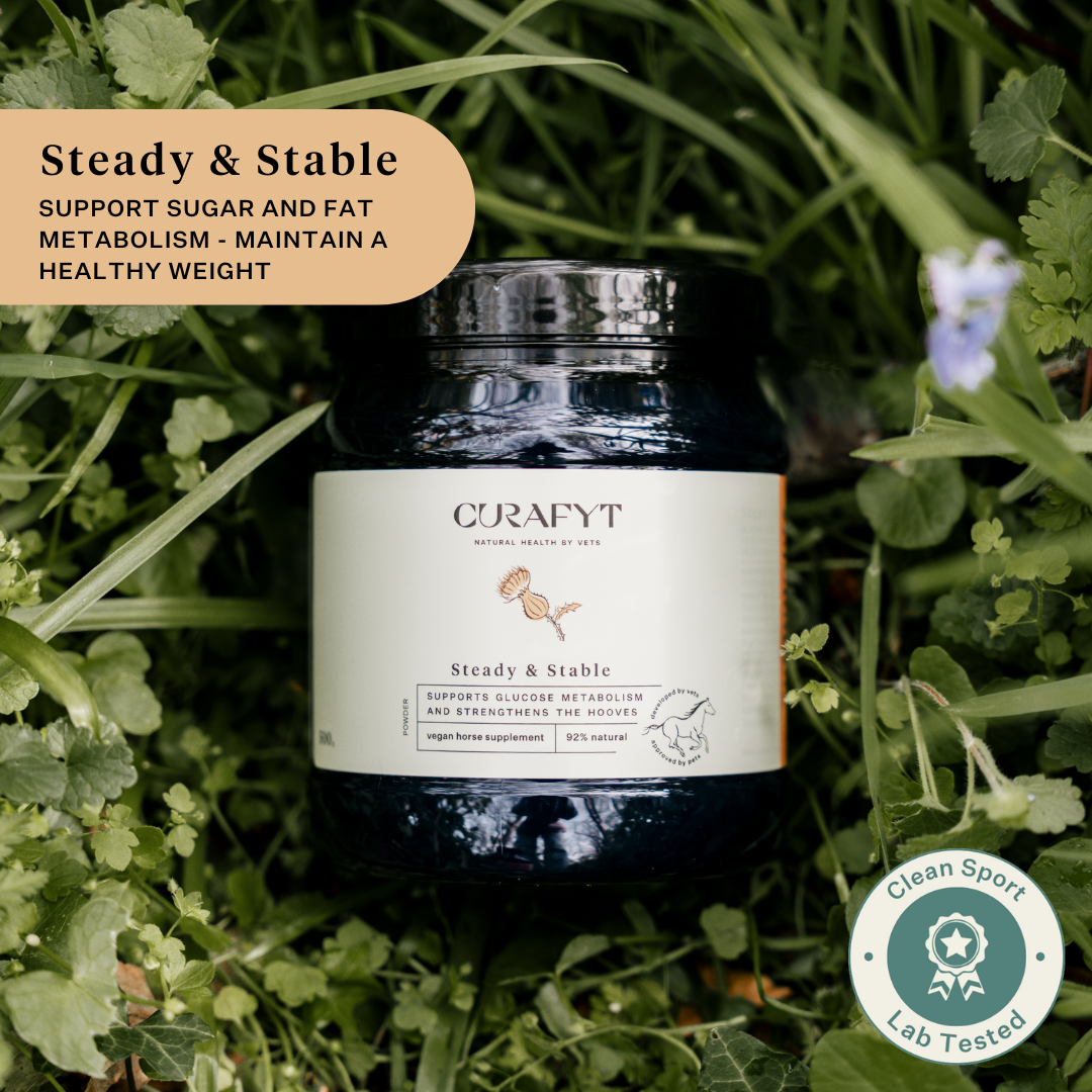 Natuurlijke gezondheidsproducten en supplementen voor dieren – Curafyt