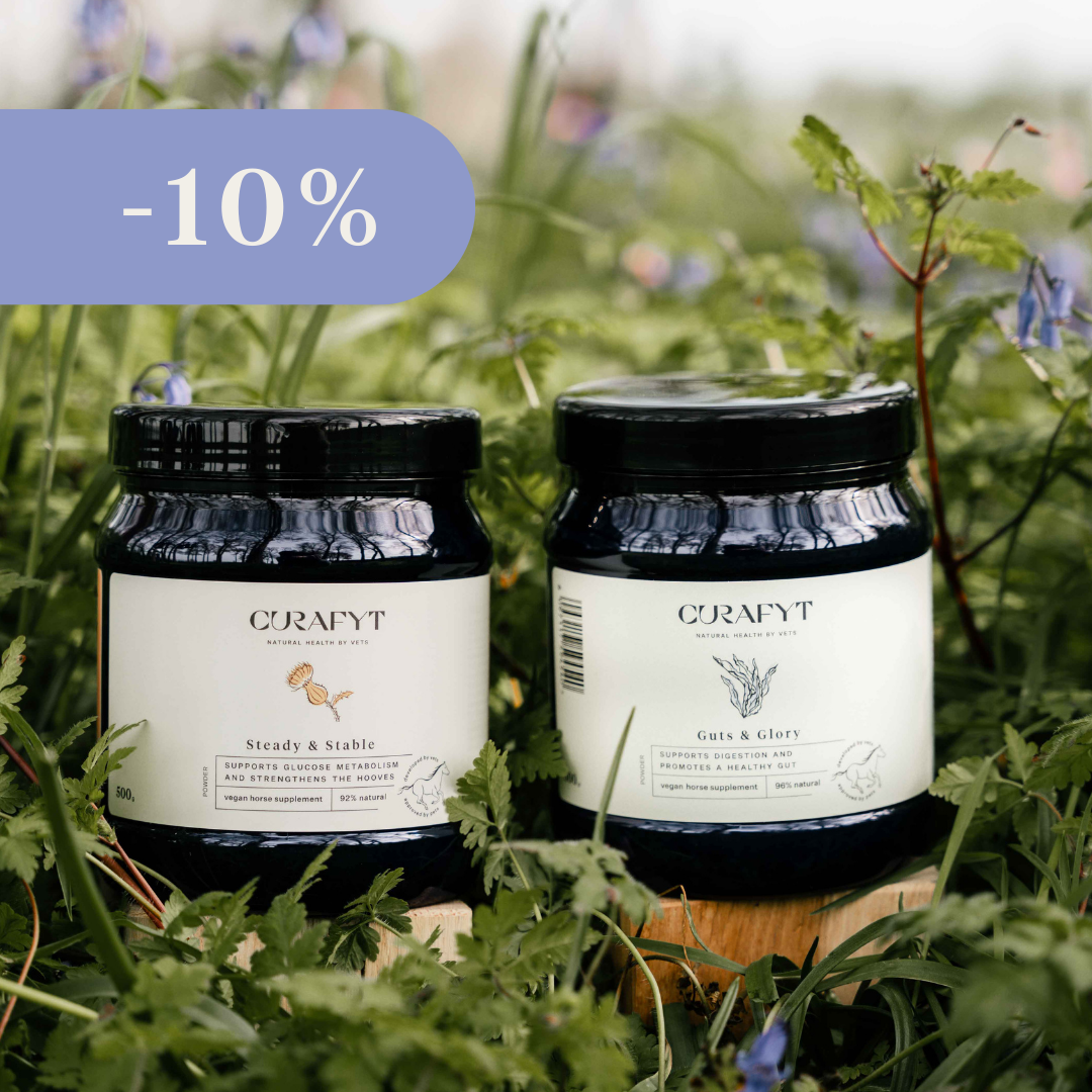 Spring Fresh Grass Bundle – Curafyt