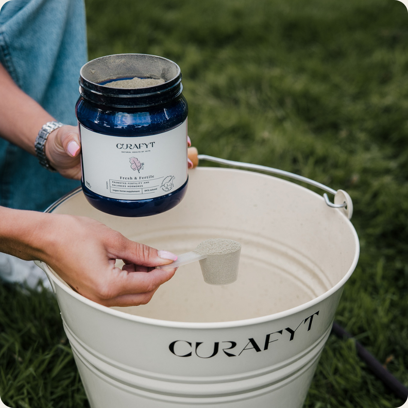 Compléments alimentaires naturels pour chiens et chevaux développés par des vétérinaires – Curafyt