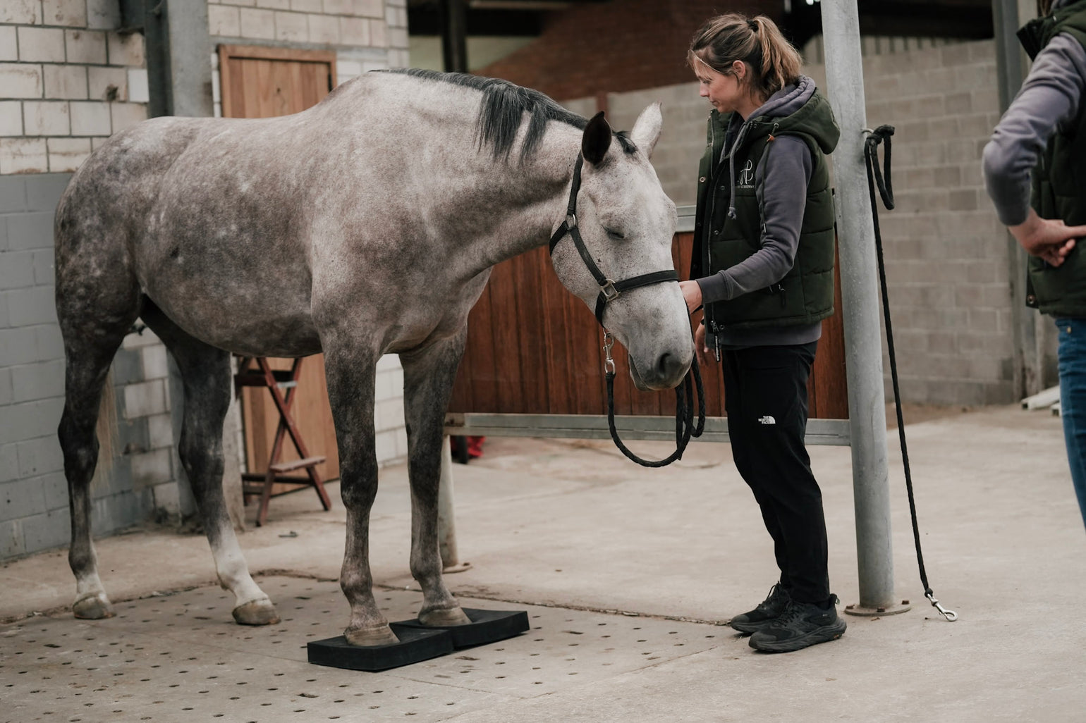 Equimove Balance Pads voor paarden: Wat zijn ze en hoe gebruik je ze – Curafyt
