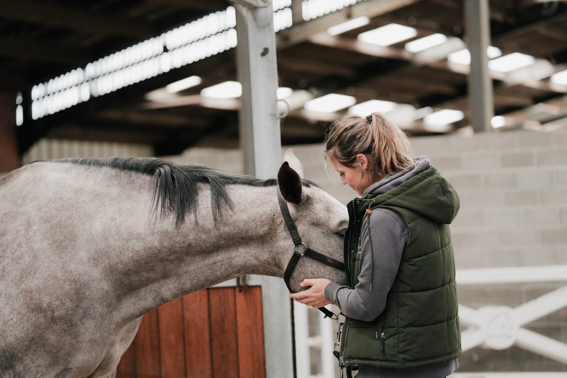 What are the benefits of balance pads for my horse and pony? – Curafyt