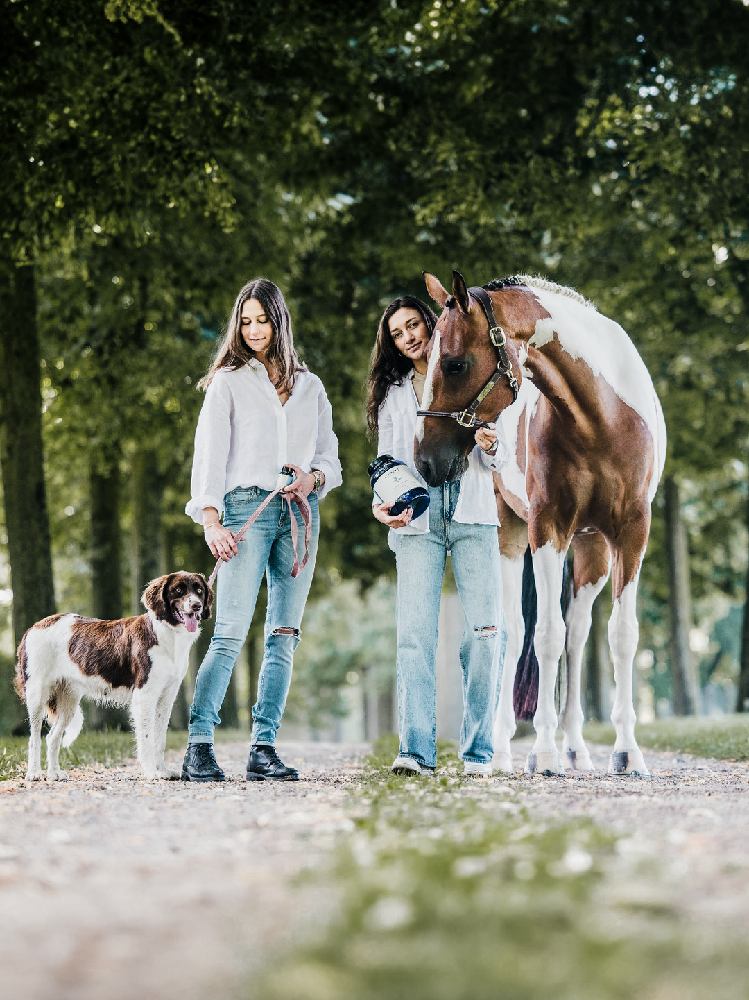 Compléments alimentaires naturels pour chiens et chevaux développés par ...